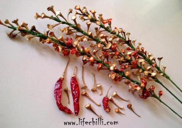 Step By Step Creative Flower Making Tutorial - Life Chilli
