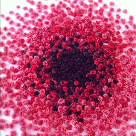 Easy French Knot Embroidery Tutorial and Designs For Beginners